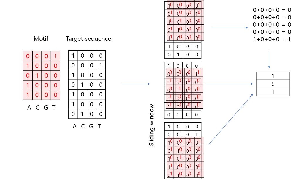 KAIST Deep Learning - 4 Day3 CNN with DNA sequence